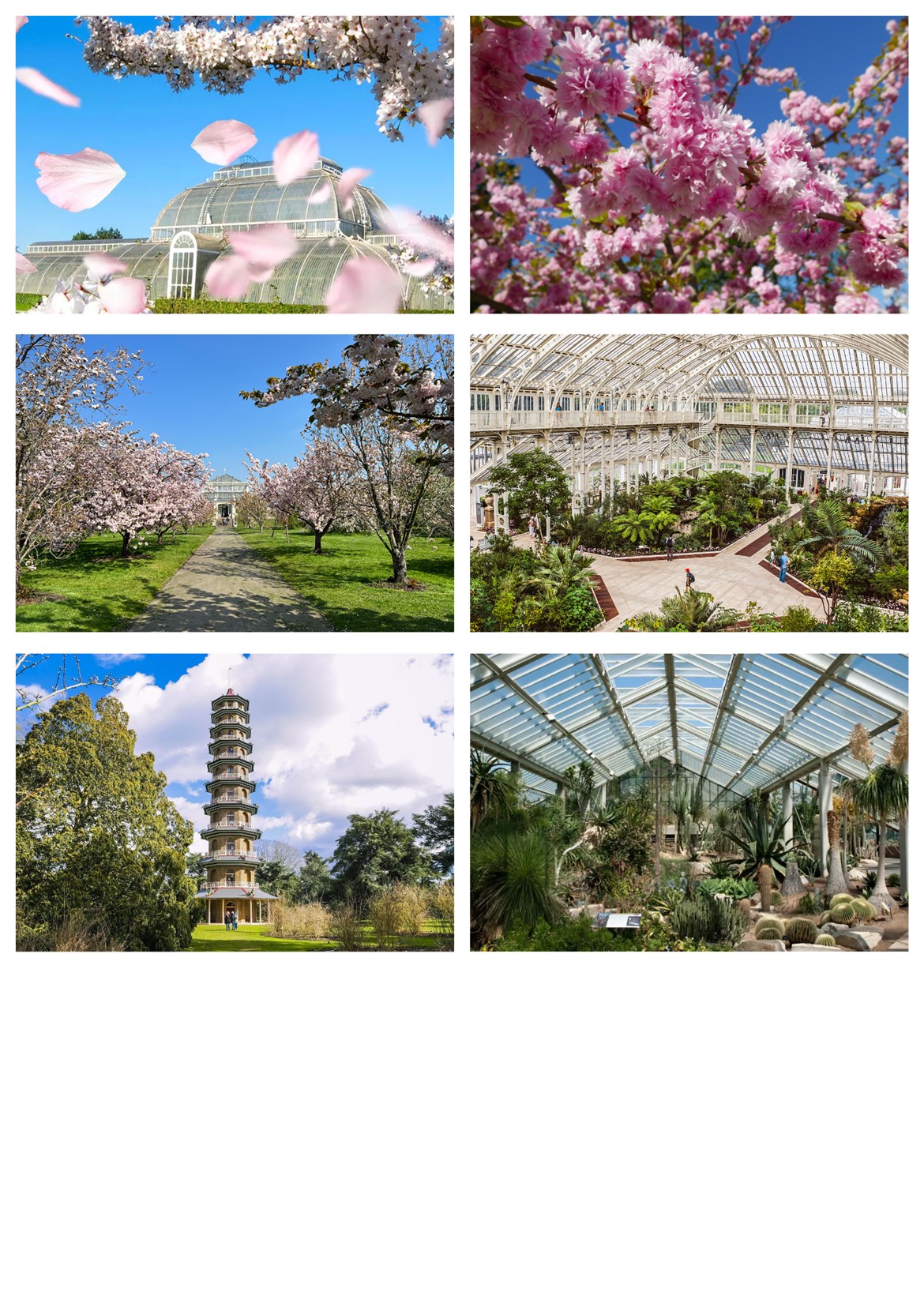 Kew Gardens, Sounds of Blossom